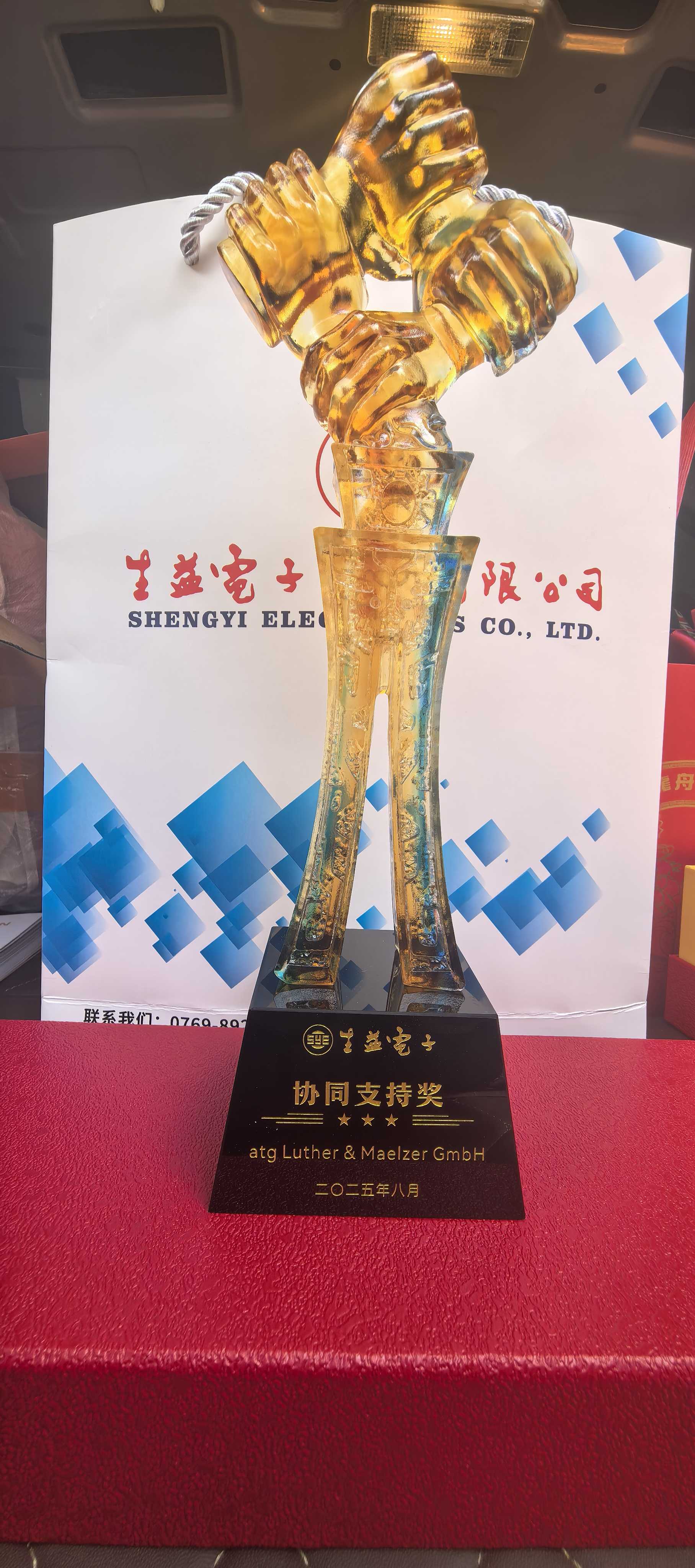 Collaborative Support Award from SYE 2025